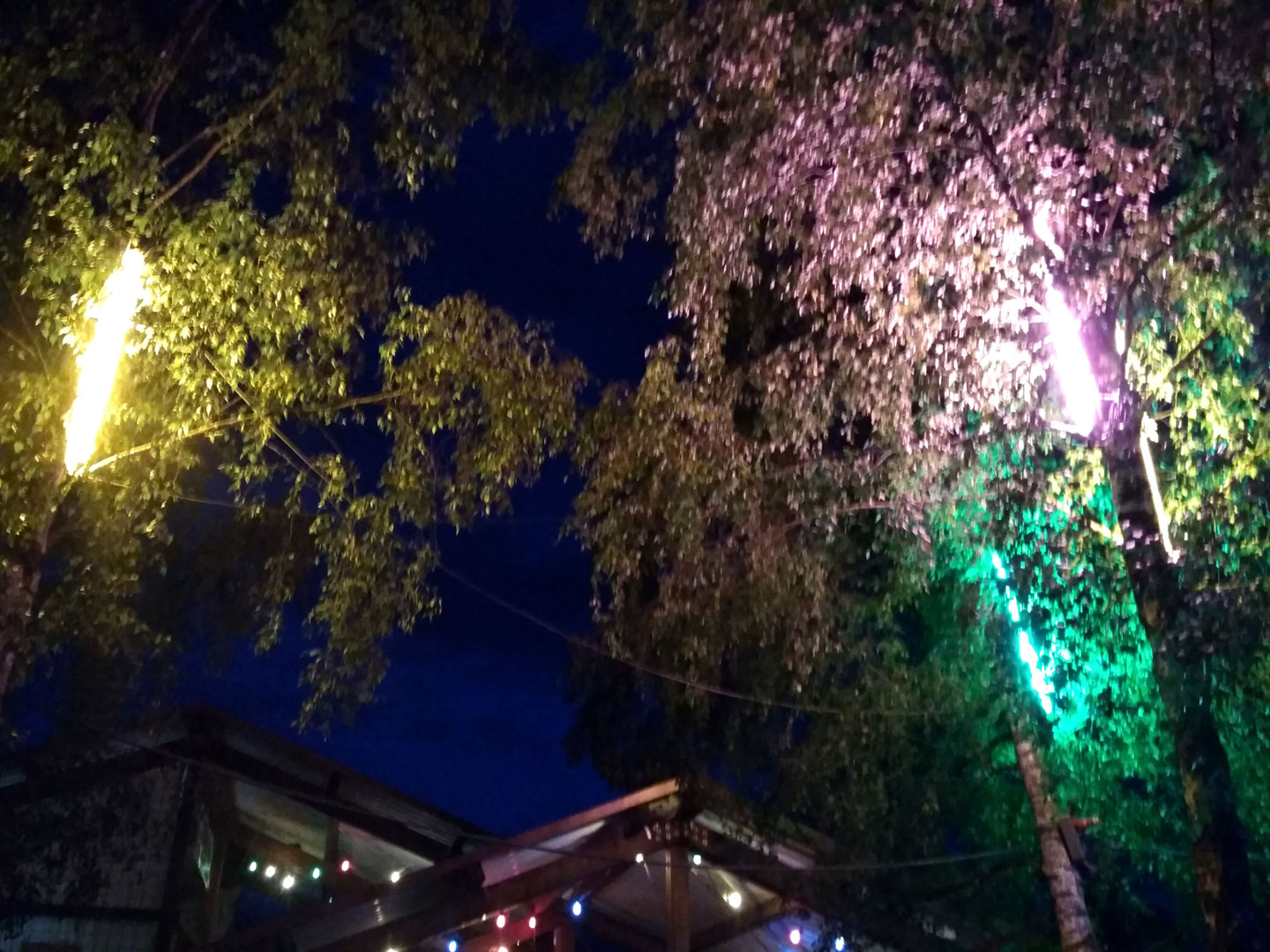 Tsukahara Festival Sailauf 2019 - Live aus dem Vorspessart